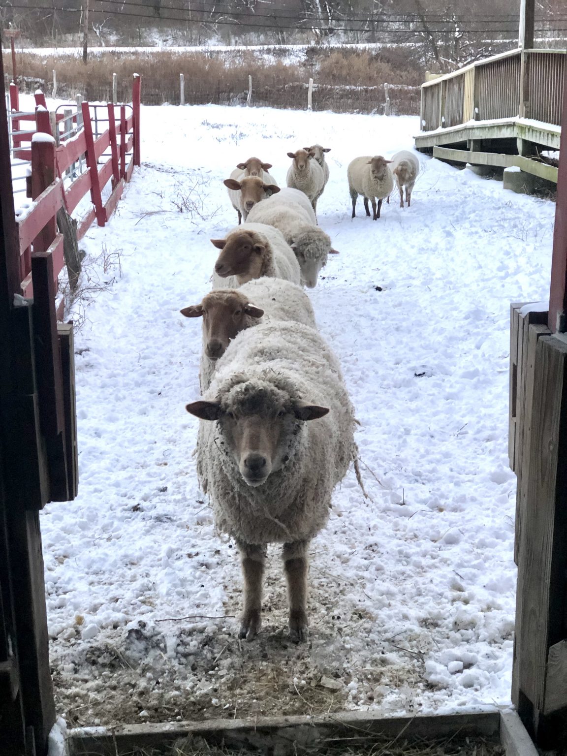 Open Barn – Stony Kill Foundation